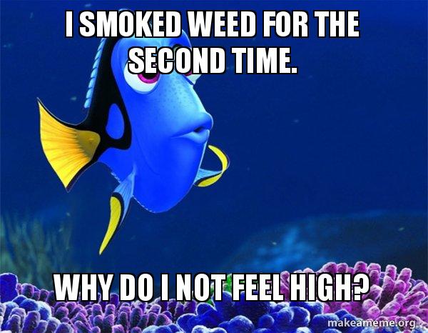 I Feel It Meme Weed