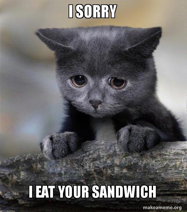 I sorry I eat your sandwich - Confession Cat Meme Generator