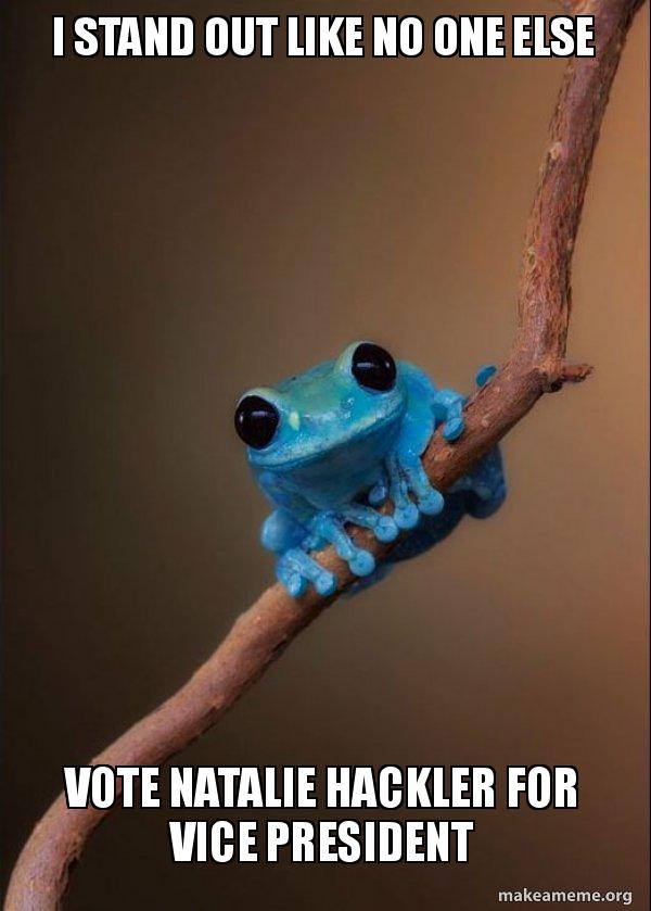 i stand out like no one else vote Natalie Hackler for vice president ...