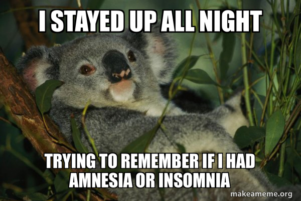 I stayed up all night trying to remember if I had Amnesia or Insomnia ...