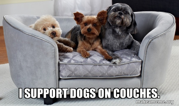I support dogs on couches. Meme Generator