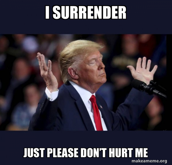 I surrender Just please don’t hurt me - Trump Impeached Meme Generator