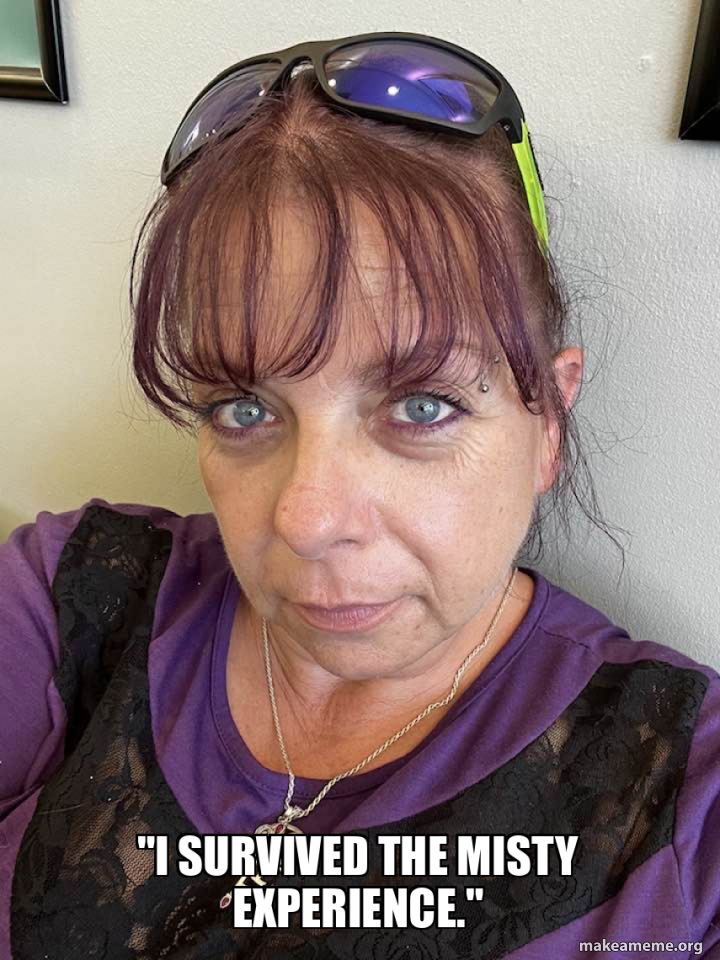"I SURVIVED THE MISTY EXPERIENCE." Meme Generator