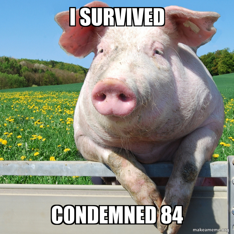 I survived Condemned 84 Meme Generator