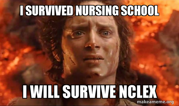 I Will Survive Meme Surviving Daily Life: Relatable Moments And Humor