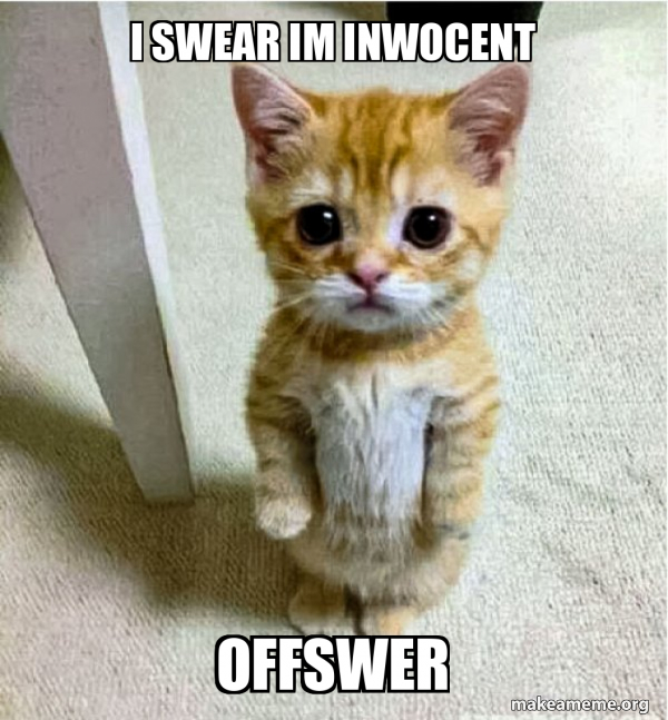 I SWEAR IM INWOCENT OFFSWER - Cute Cat Standing Meme Generator