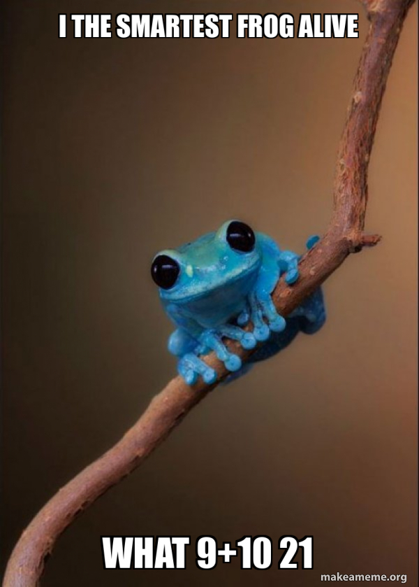 I the smartest frog alive What 9+10 21 - Small Fact Frog Meme Generator