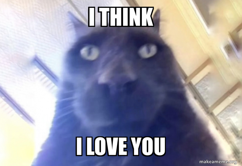 I THINK I LOVE YOU Meme Generator