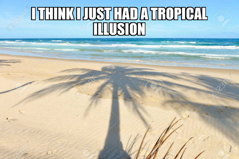 I THINK I JUST hAD a tROPICAL iLLUSION Meme Generator
