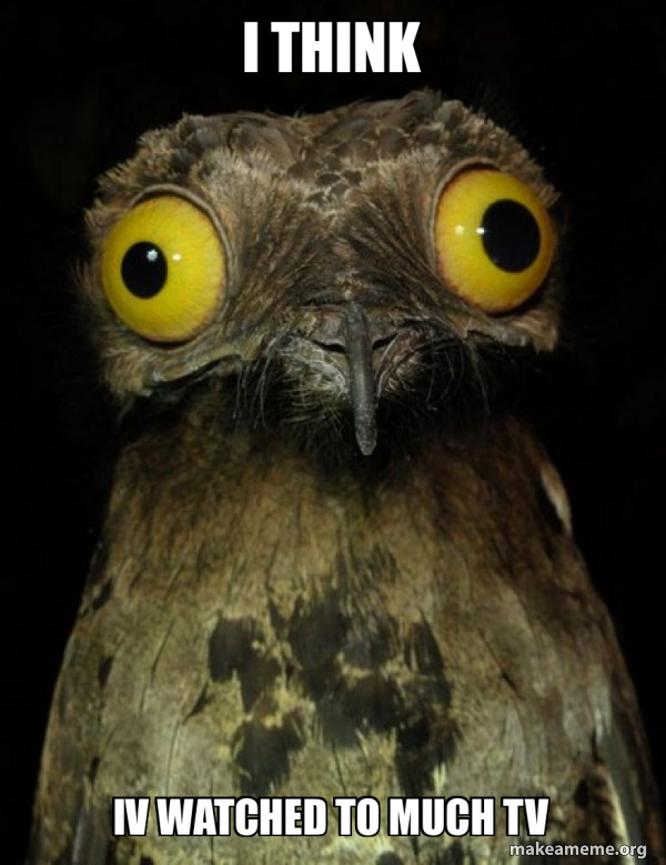 I THINK IV WATCHED TO MUCH TV - Weird Stuff I do Potoo Meme Generator