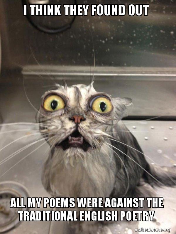 Cat Poem Memes Lolcats Poem LOL At Funny Cat Memes Funny Cat