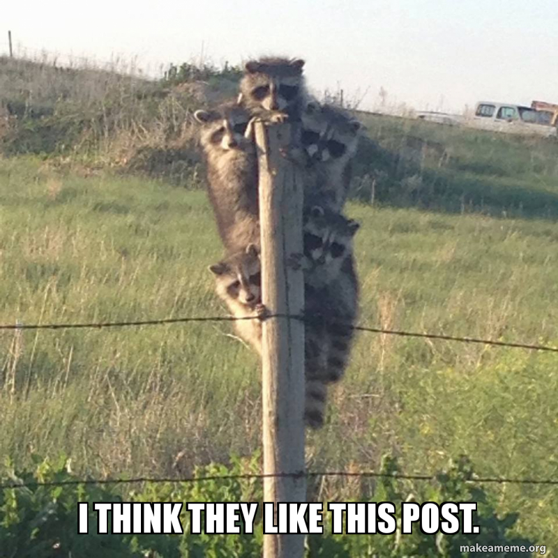 I think they like this post. Meme Generator