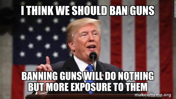 I think we should ban guns Banning guns will do nothing but more ...