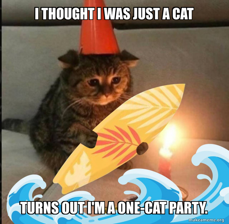I thought I was just a cat Turns out I'm a one-cat party. Meme Generator