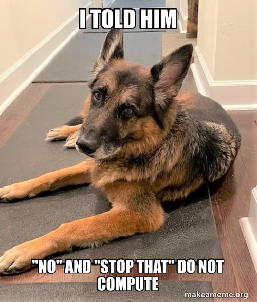 i told him "no" and "stop that" do not compute Meme Generator