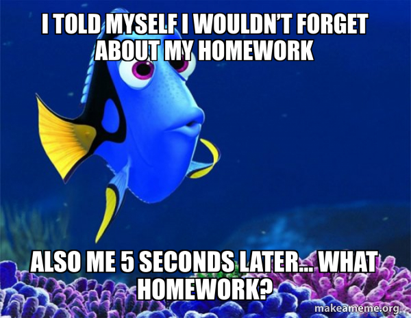 I told myself I wouldn’t forget about my homework Also me 5 Seconds ...