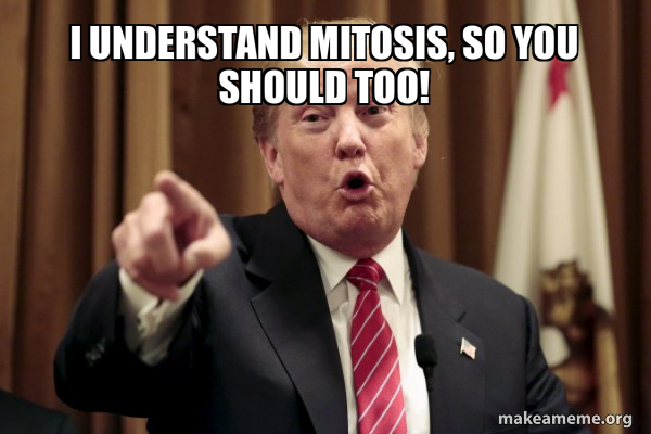 i understand mitosis, so you should too! - Donald Trump Says Meme Generator