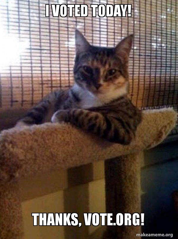 I voted today! Thanks, vote.org! - The Most Interesting Cat in the ...