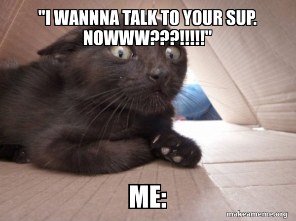 "I WANNNA TALK TO YOUR SUP. NOWWW???!!!!!" me: - Schitzo Cat Meme Generator