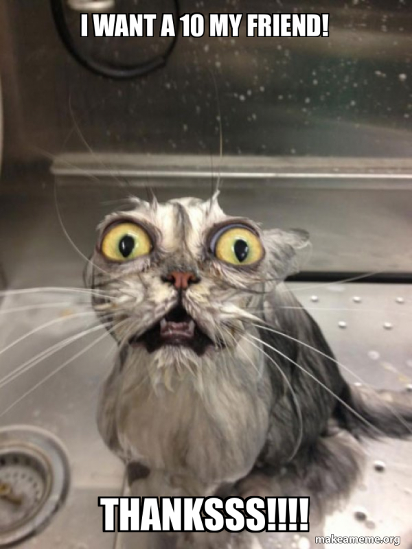 I want a 10 my friend! THANKSSS!!!! - Cat bath Meme Generator