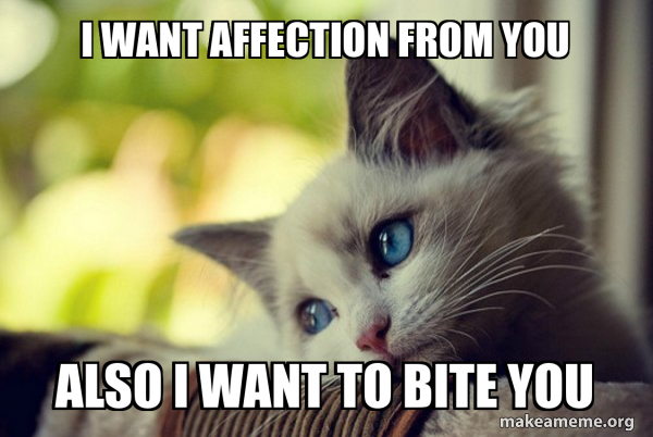 I Want affection from you Also i want to bite you - First World Cat ...