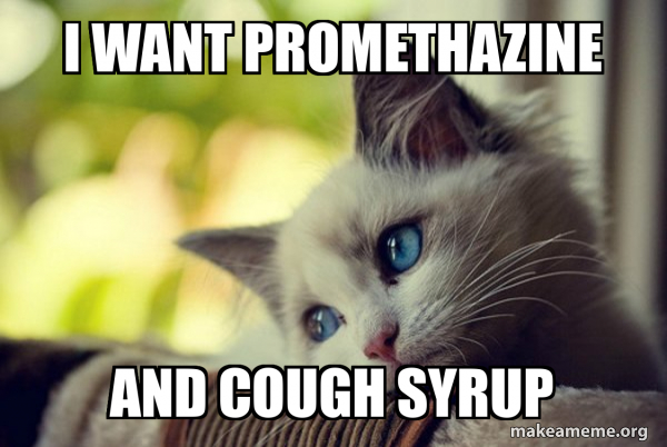 I Want Promethazine And Cough Syrup - First World Cat Problems Meme ...