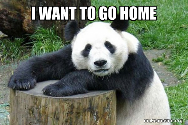 I WANT TO GO HOME - Confession Panda Meme Generator