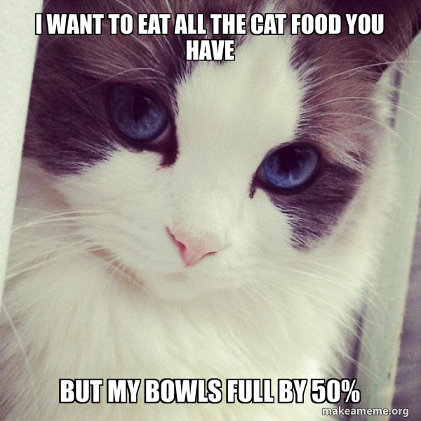 i want to eat all the cat food you have but my bowls full by 50% ...