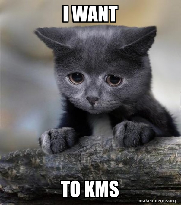 i want to kms - Confession Cat Meme Generator