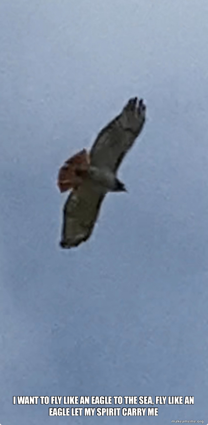 I want to fly like an eagle to the sea, fly like an eagle let my spirit ...