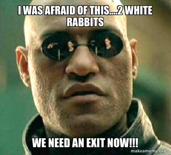 i was afraid of this....2 white rabbits we need an exit now!!! - Matrix ...