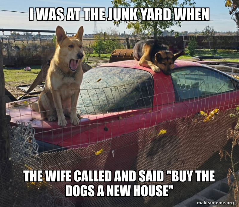 I was at the junk yard when The Wife called and said "buy the dogs a ...