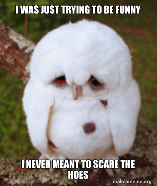 I was just trying to be funny I never meant to scare the hoes Meme ...