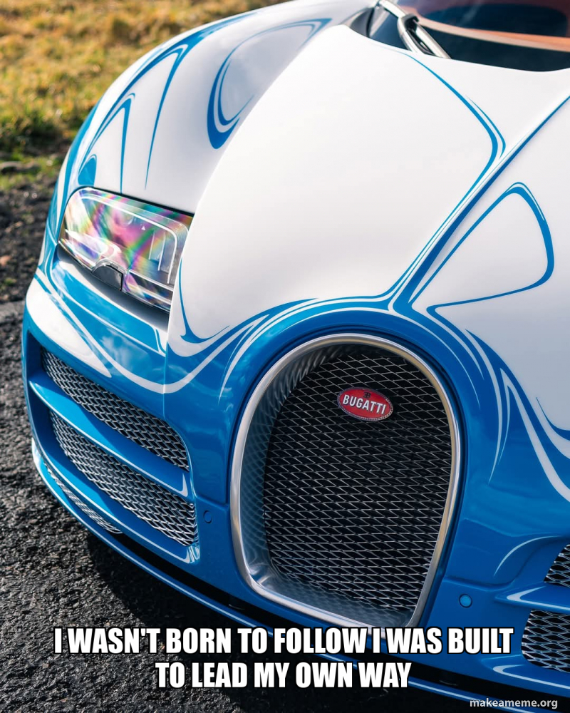 I wasn't born to follow I was built to lead my own way Meme Generator