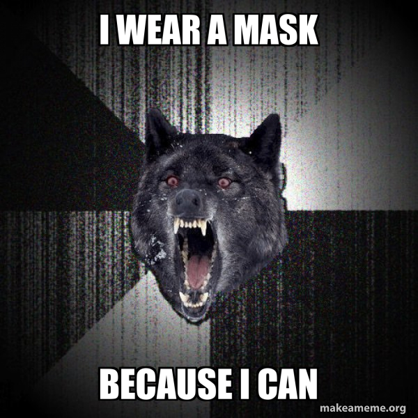 I WEAR A MASK BECAUSE I CAN - Insanity Wolf Meme Generator