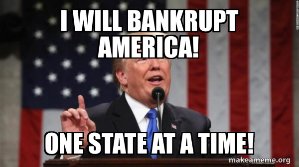 I will bankrupt america! one state at a time! - Donald Trump Meme Generator