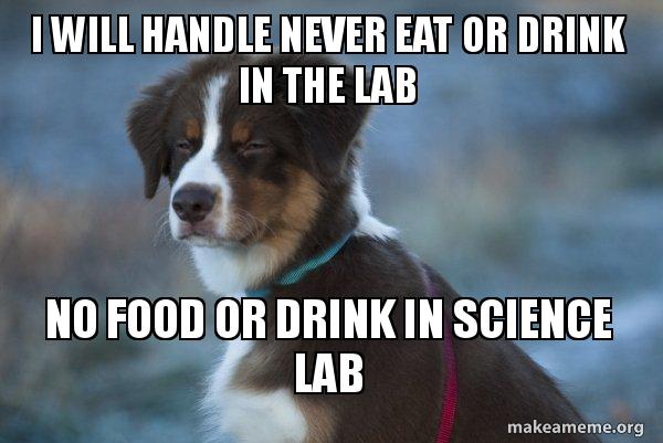I will handle NEVER eat or drink in the lab NO FOOD OR DRINK IN SCIENCE ...
