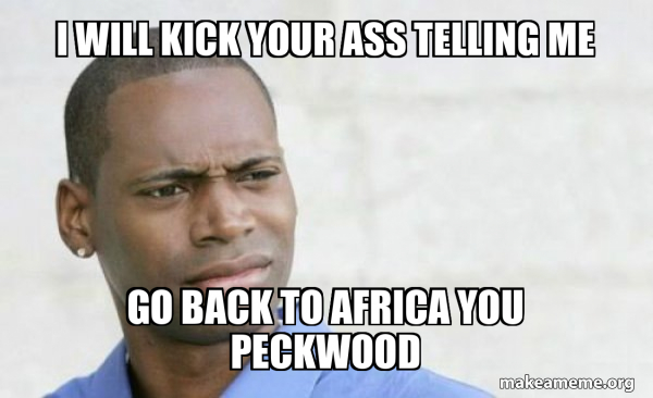 I will kick your ass telling me Go back to Africa you peckwood ...