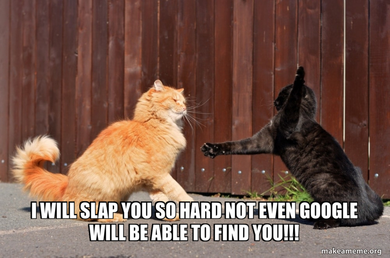 I will slap you so hard not even google will be able to find you ...
