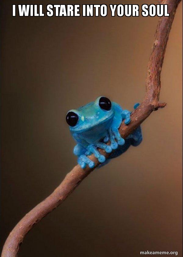 i will stare into your soul - Small Fact Frog Meme Generator