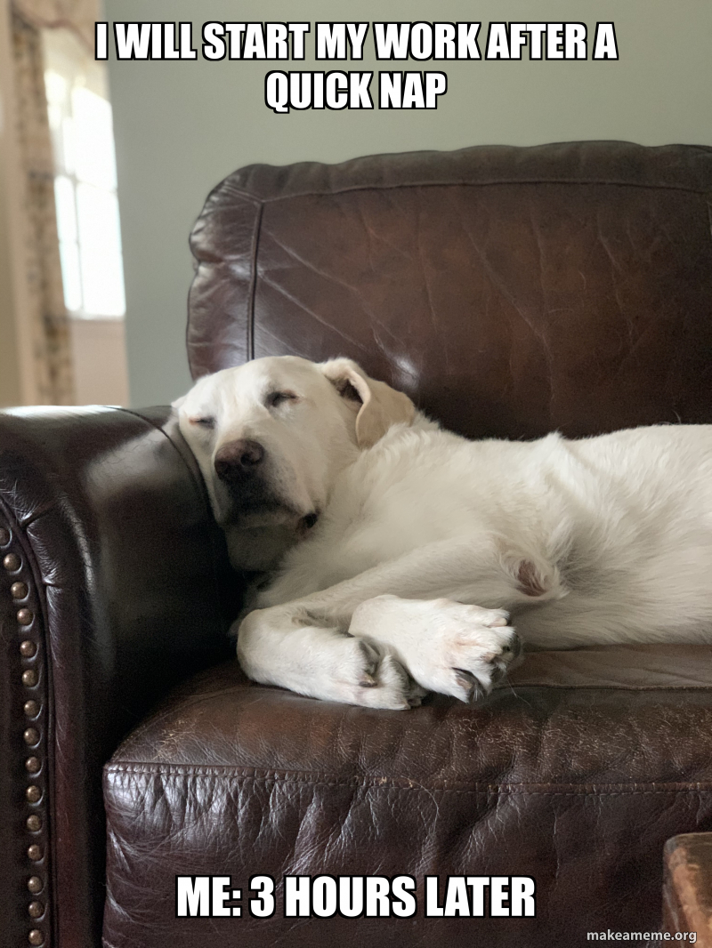 I will start MY work after A quick nap ME: 3 HOURS LATER Meme Generator