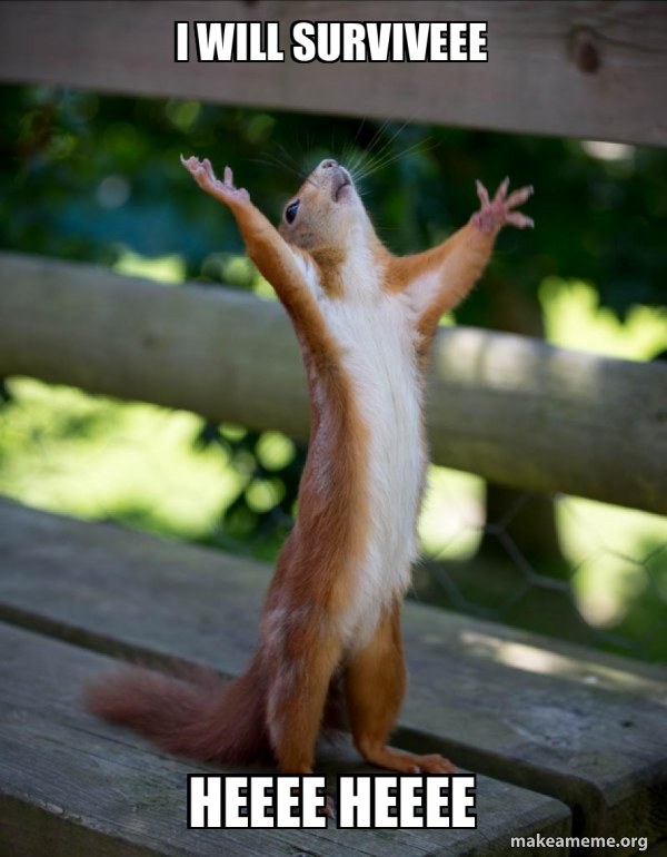 I WILL SURVIVEEE HEEEE HEEEE - Happy Squirrel Meme Generator