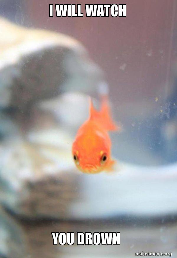i will watch you drown - Grumpy Fish Meme Generator
