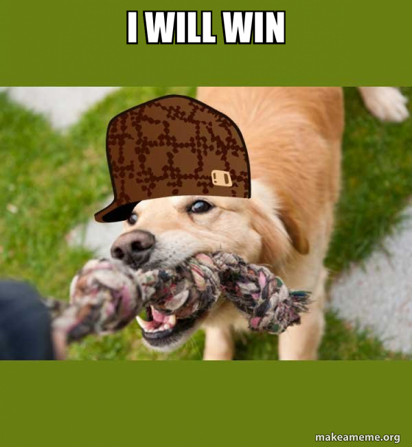 i will win - Scumbag dog Meme Generator