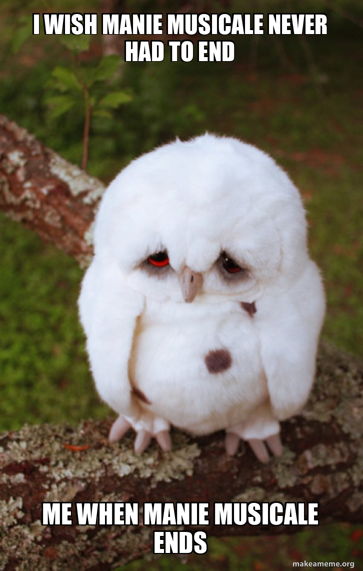 I Wish Manie Musicale Never Had To End Me When Manie Musicale Ends ...