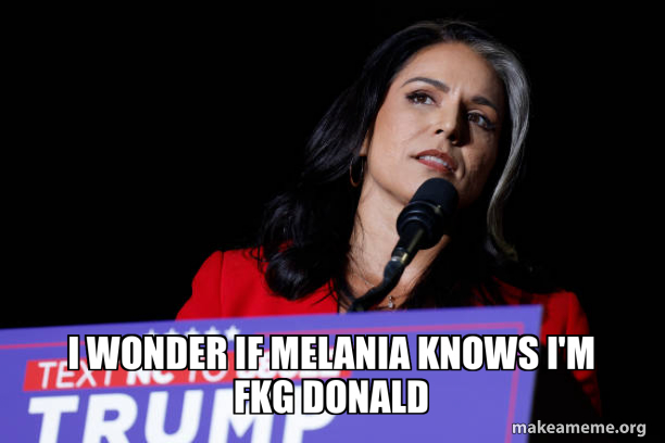 i wonder if melania knows i'm fkg Donald Meme Generator