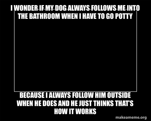 I wonder if my dog always follows me into the bathroom when I have to ...