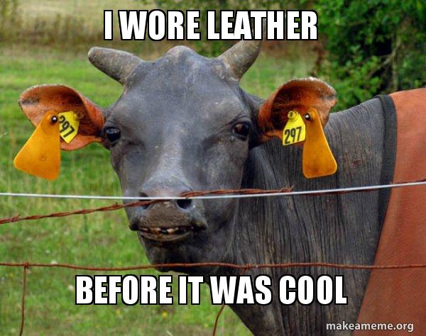 i wore leather before it was cool - Hairless Cow Meme Generator