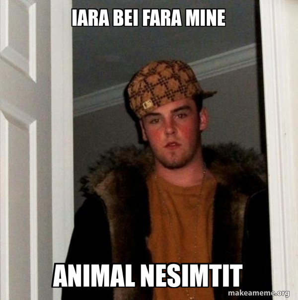 Iara bei fara mine animal nesimtit - Scumbag Steve Meme Generator