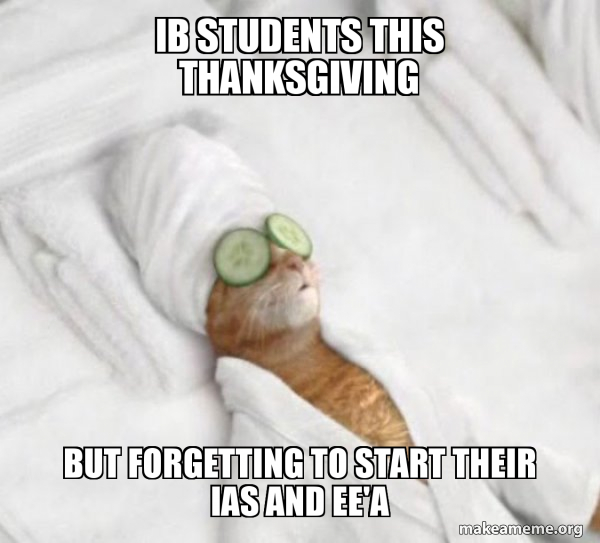 Ibdp Memes Me Explaining Why A Meme Page Should Count As Service As